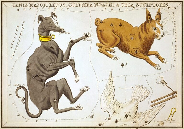 How did the Canis Major constellation get its name? - Explaining Space